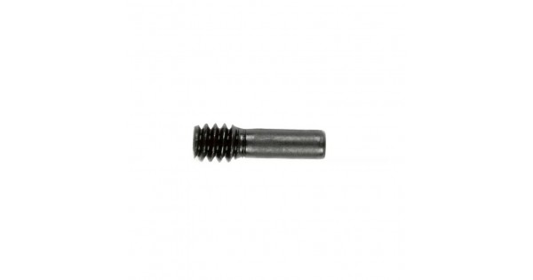 AR-10/LR-308 Bolt Catch Screw
